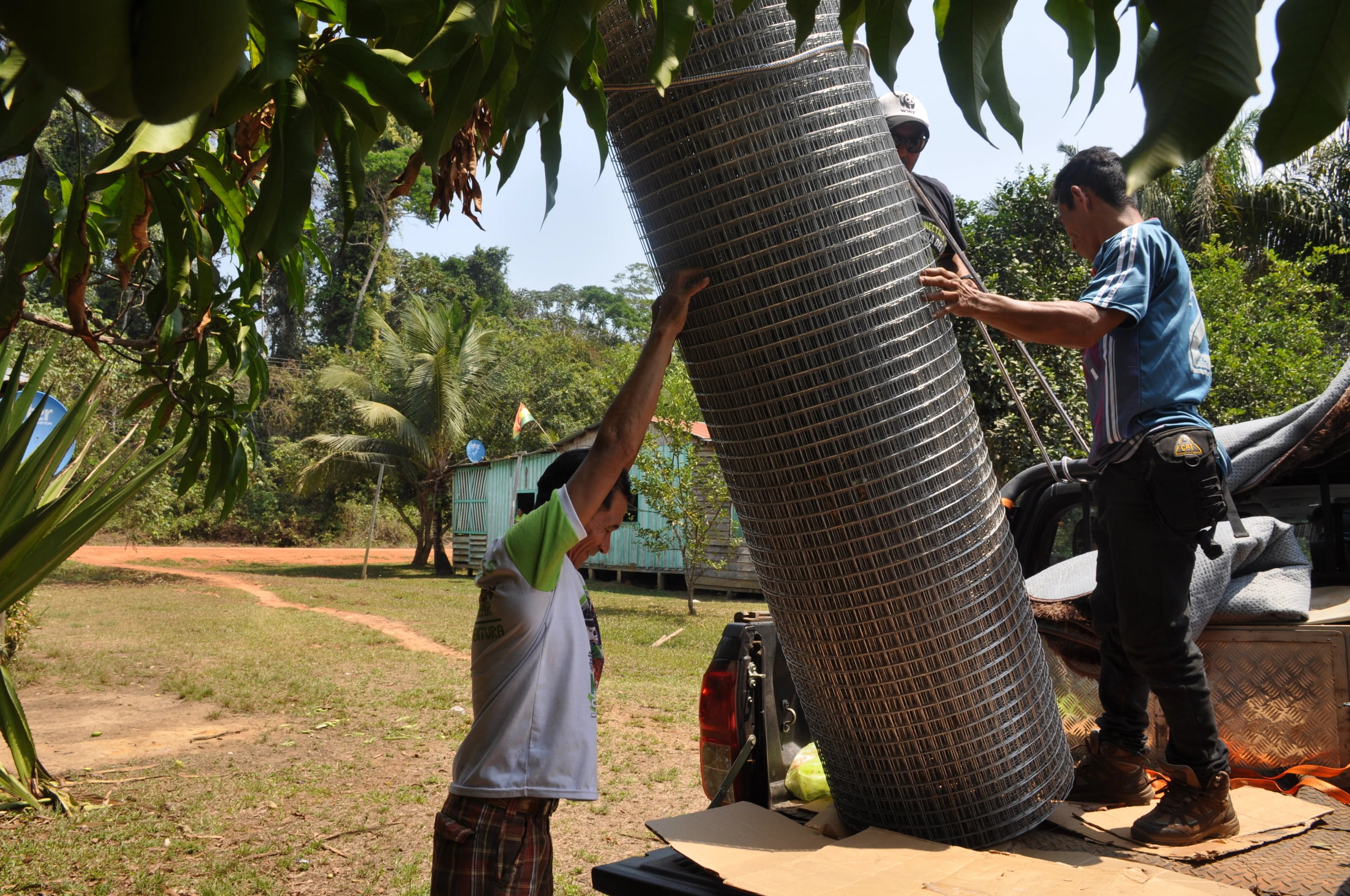 The Amazon Rainforest | WWF